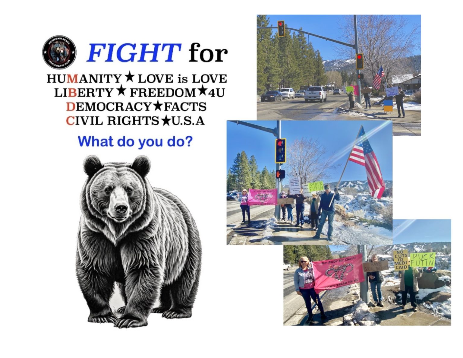 Mountain Bears Democratic Club